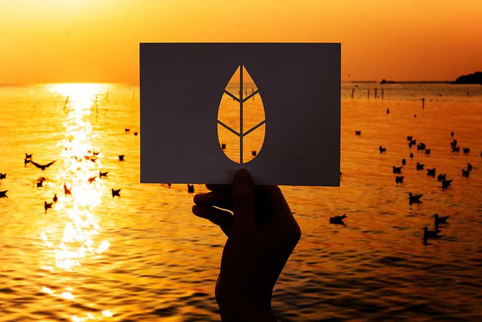 Climate Change Legislation and Its Impact on Aquaculture: Navigating ...