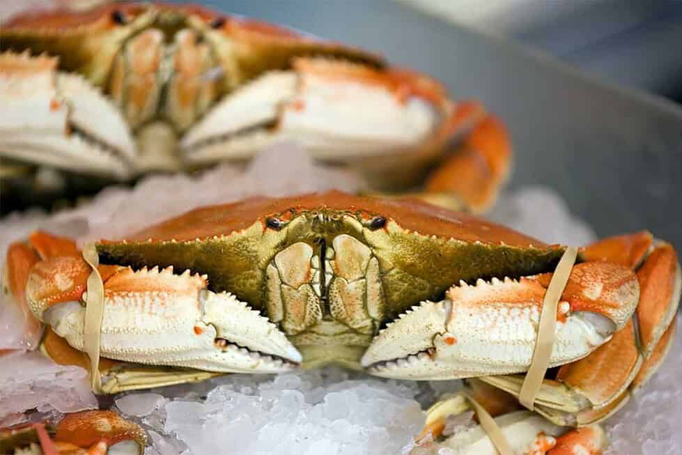 Sea-food Fraud and Traceability: Legal Risks in Global Supply Chains ...